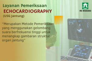 Layanan Pemeriksaan Echocardiography USG Jantung - Rumah Sakit Widodo